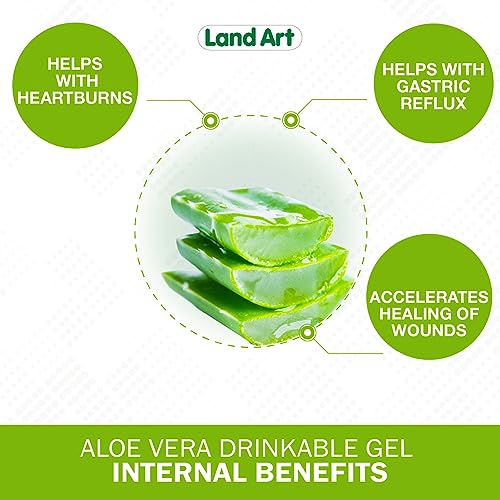vegan aloe vera drink option