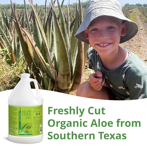 vegan aloe vera for hair care