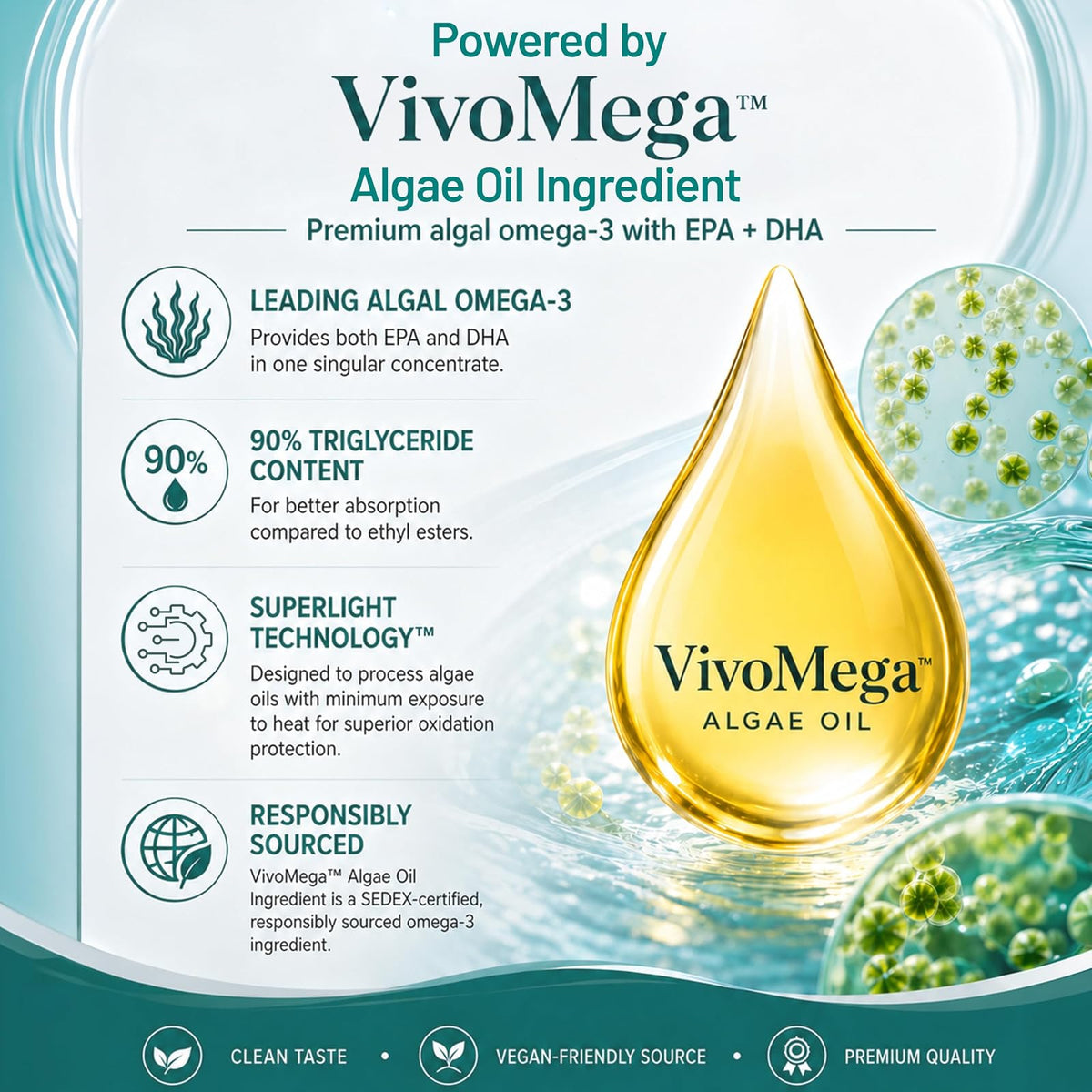 vegan alternative to fish oil