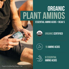 vegan amino acid supplement