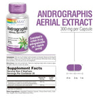 vegan Andrographis supplement for wellness