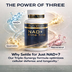Vegan antioxidant supplement for energy
