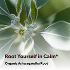 vegan ashwagandha for wellness