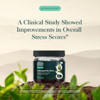 vegan ashwagandha supplement benefits