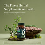 vegan astragalus capsules for vitality