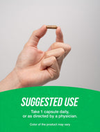 vegan astragalus capsules for vitality