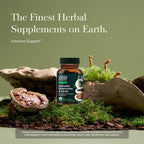Vegan astragalus immune support