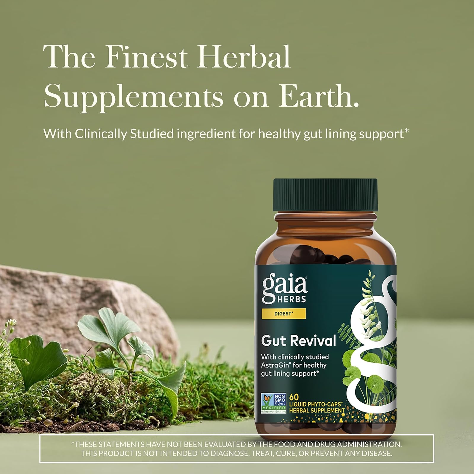 Vegan astragalus supplement for digestion