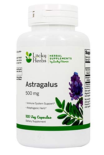 vegan astragalus supplement for wellness