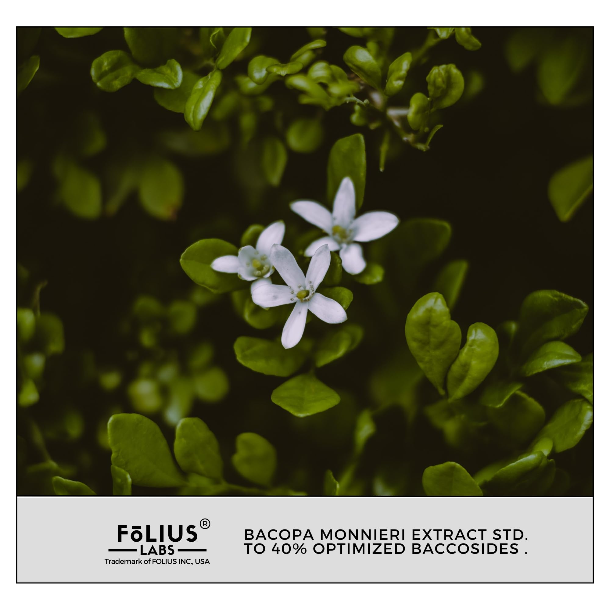 vegan bacopa monnieri capsules Canada