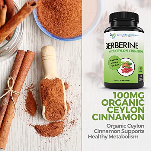 Vegan berberine and cinnamon blend