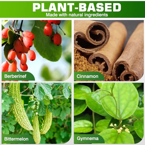 vegan berberine capsules with cinnamon