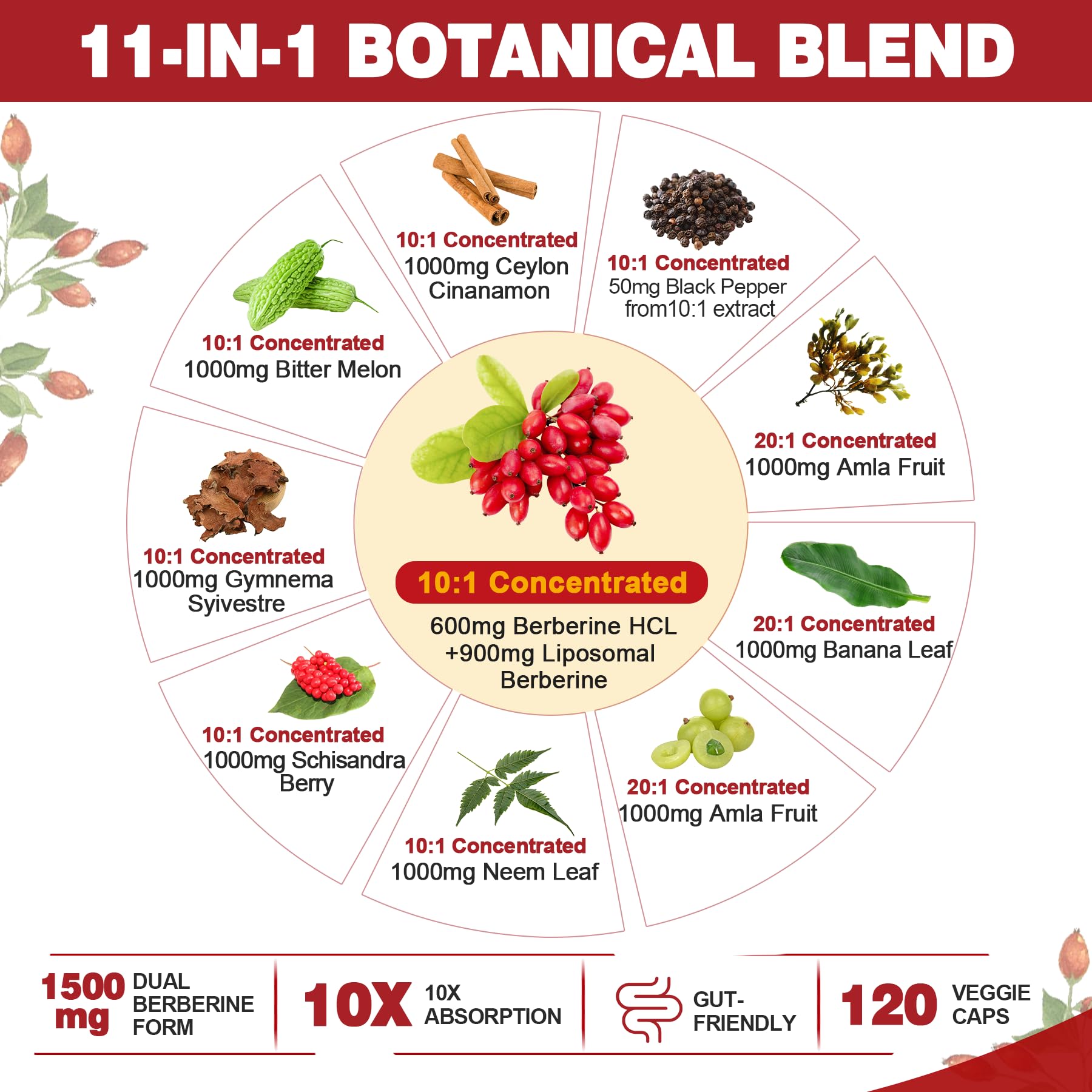 Vegan berberine supplement benefits