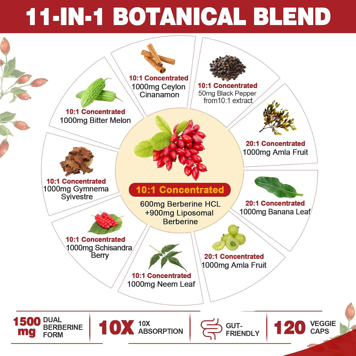 vegan berberine supplement for wellness