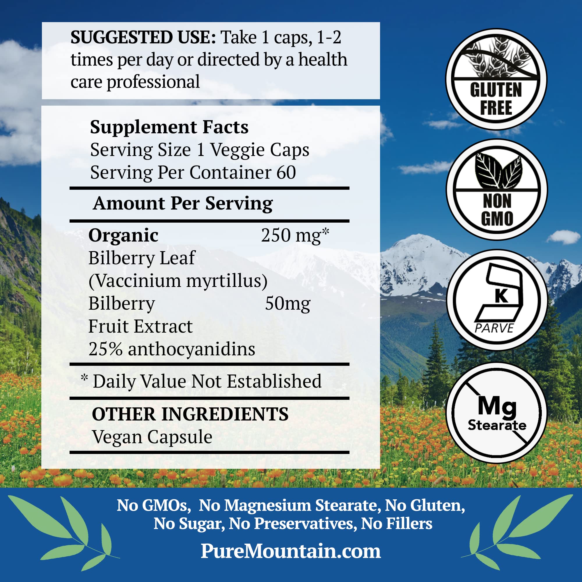 vegan bilberry supplement for wellness