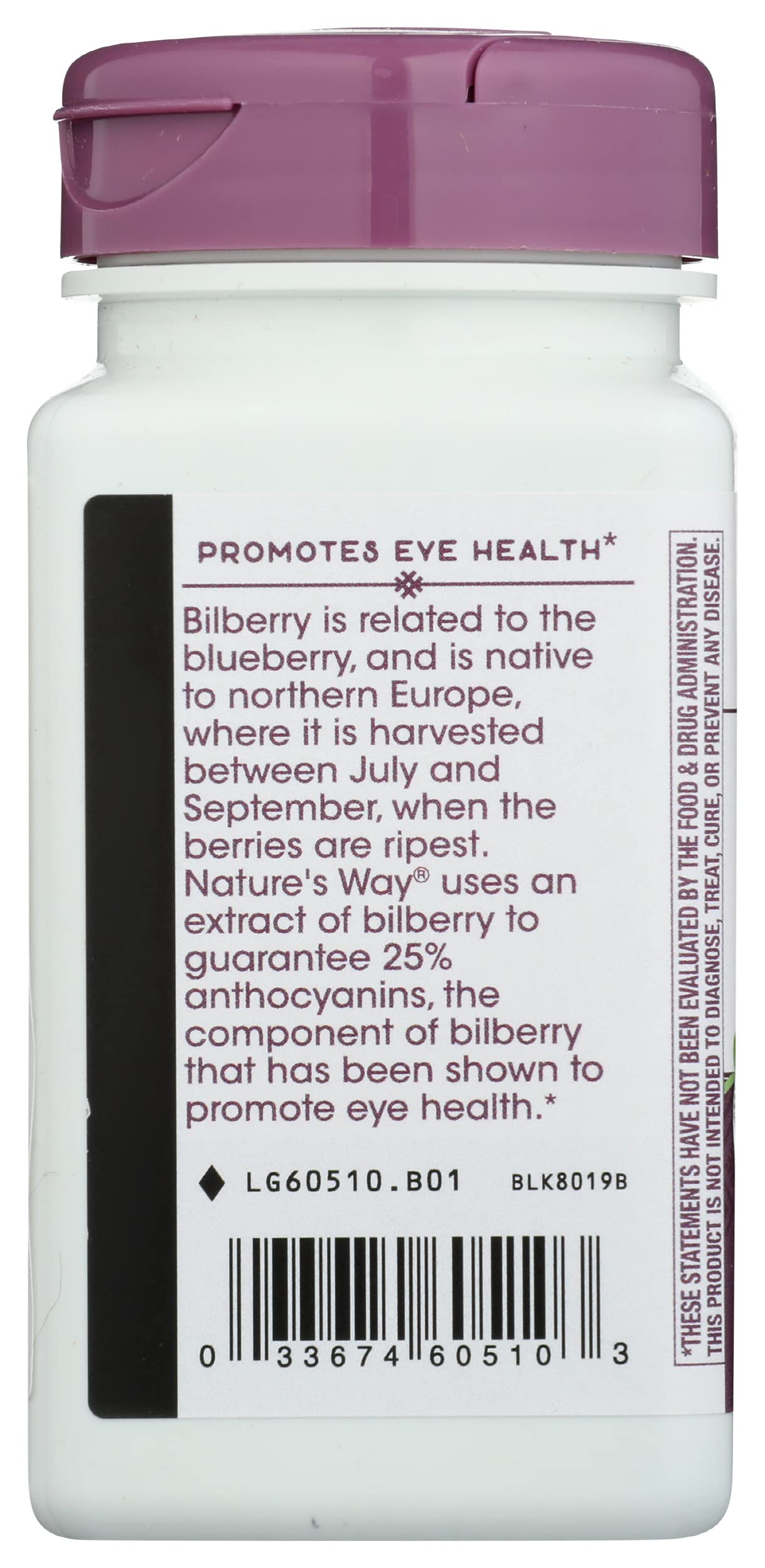 vegan bilberry supplement for wellness