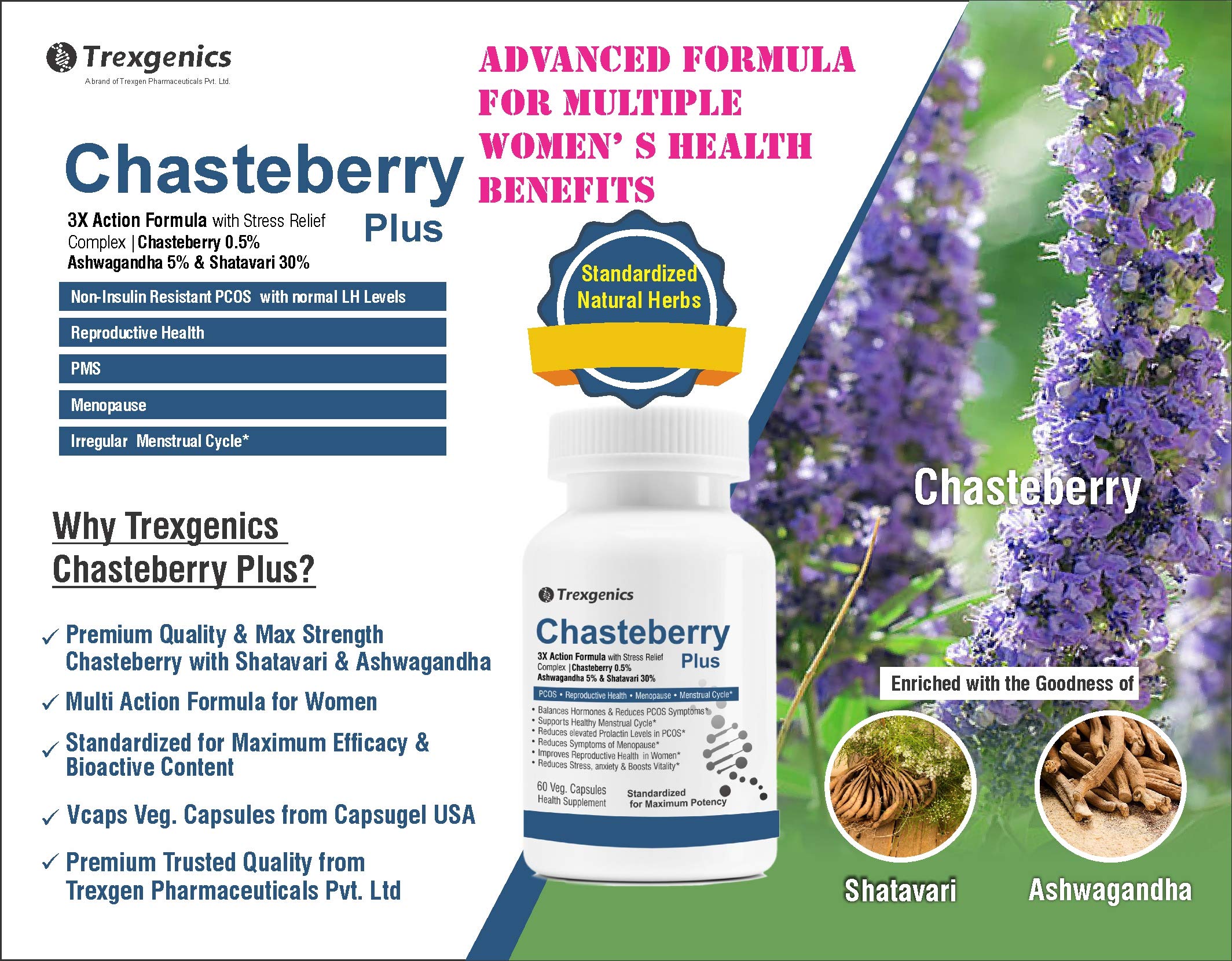 vegan blended supplements for daily nutrition