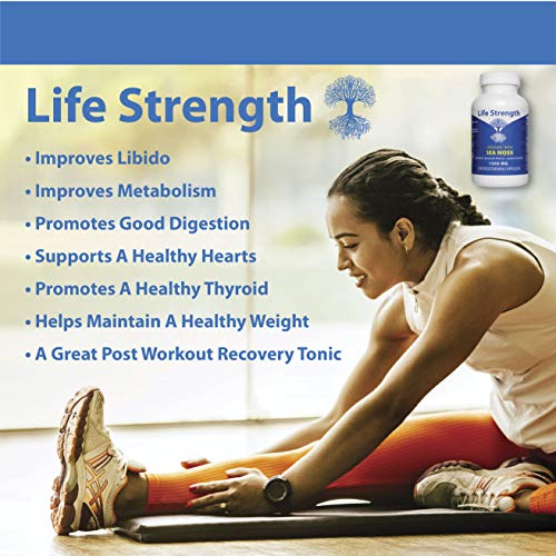 vegan blended vitamin and mineral supplements