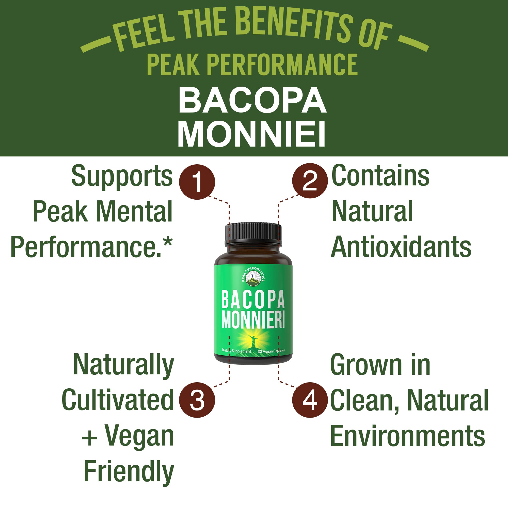 vegan brain booster for students