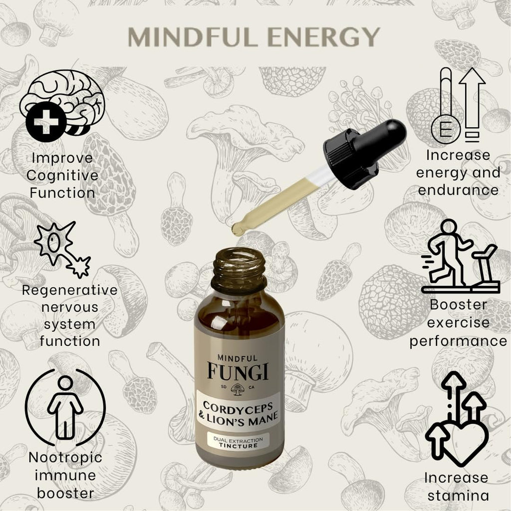 vegan brain health mushroom extract
