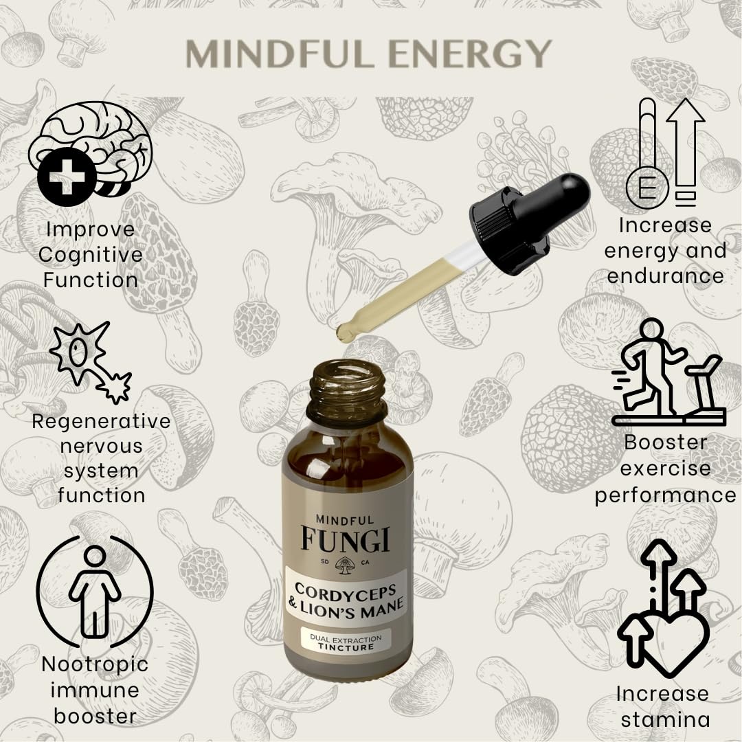 vegan brain health mushroom extract