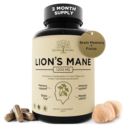Vegan brain supplement for memory
