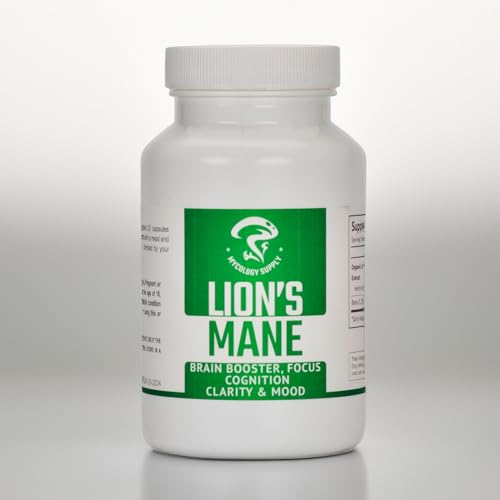 vegan brain supplements for focus