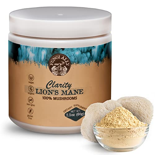 vegan brain support supplement