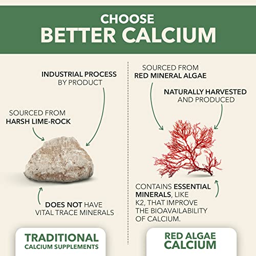 vegan calcium for bone health