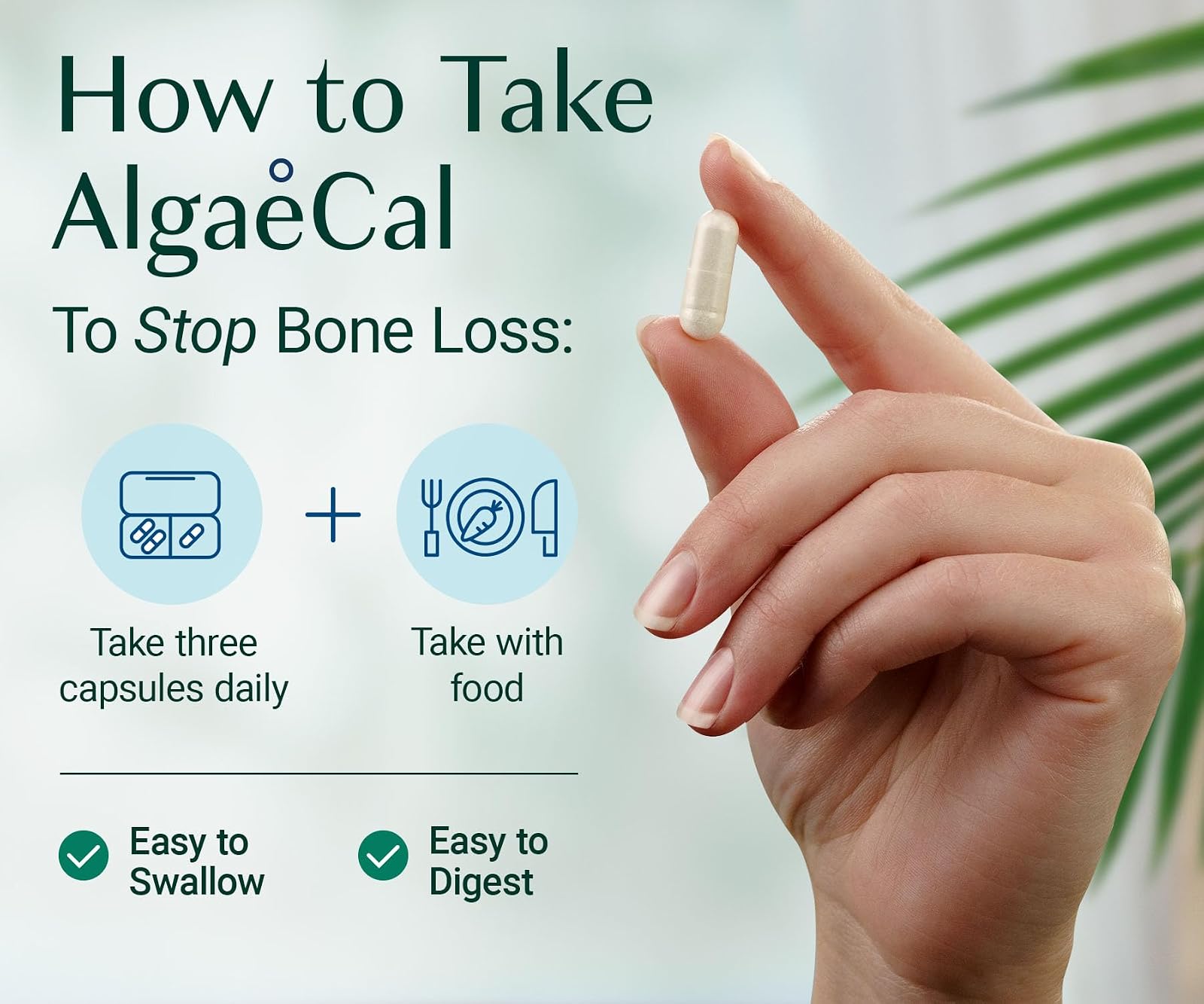 vegan calcium source for daily intake