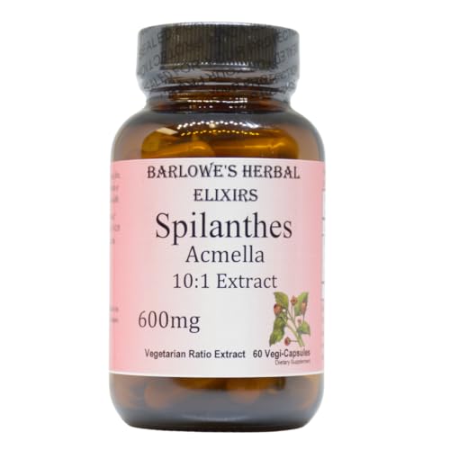 Vegan capsules blended vitamin supplement