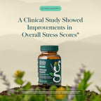 vegan capsules for adrenal wellness
