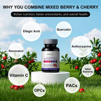 vegan capsules for antioxidant support