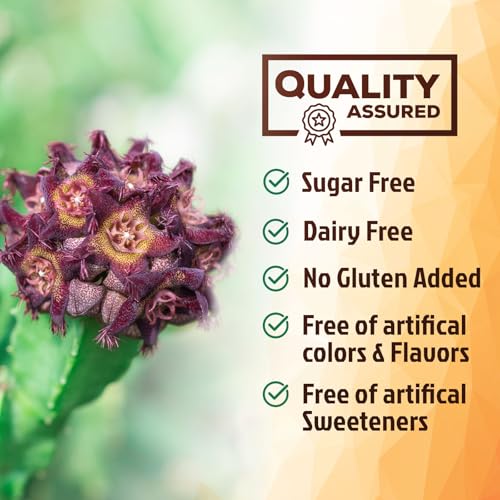 vegan capsules for appetite suppression