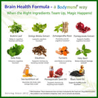 vegan capsules for cognitive function