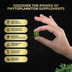 Vegan capsules for daily nutrition