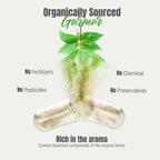 vegan capsules for daily wellness