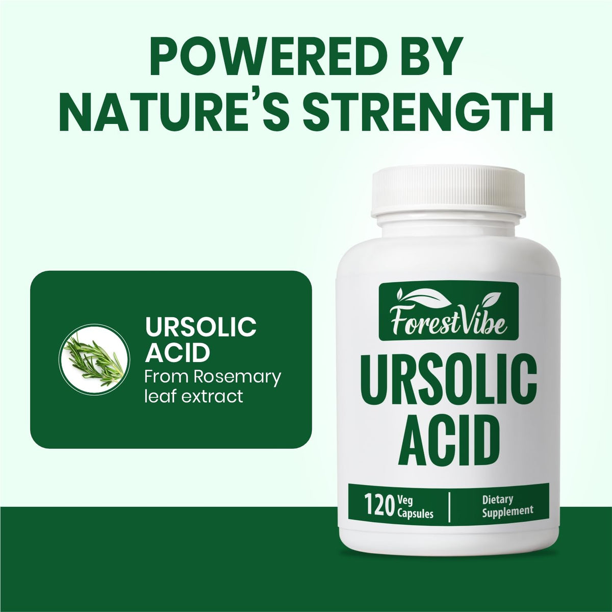 vegan capsules for daily wellness