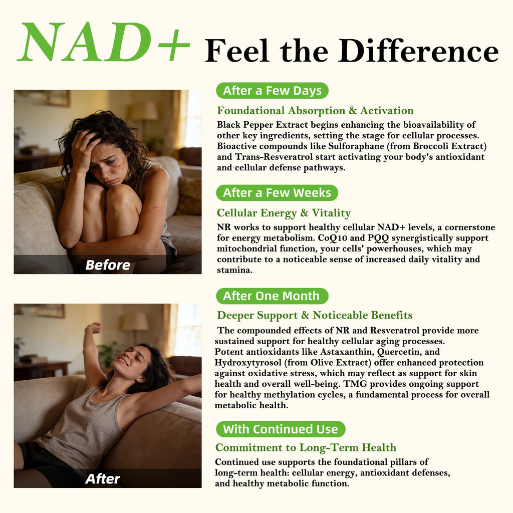 Vegan capsules for daily wellness