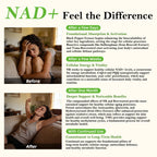 Vegan capsules for daily wellness