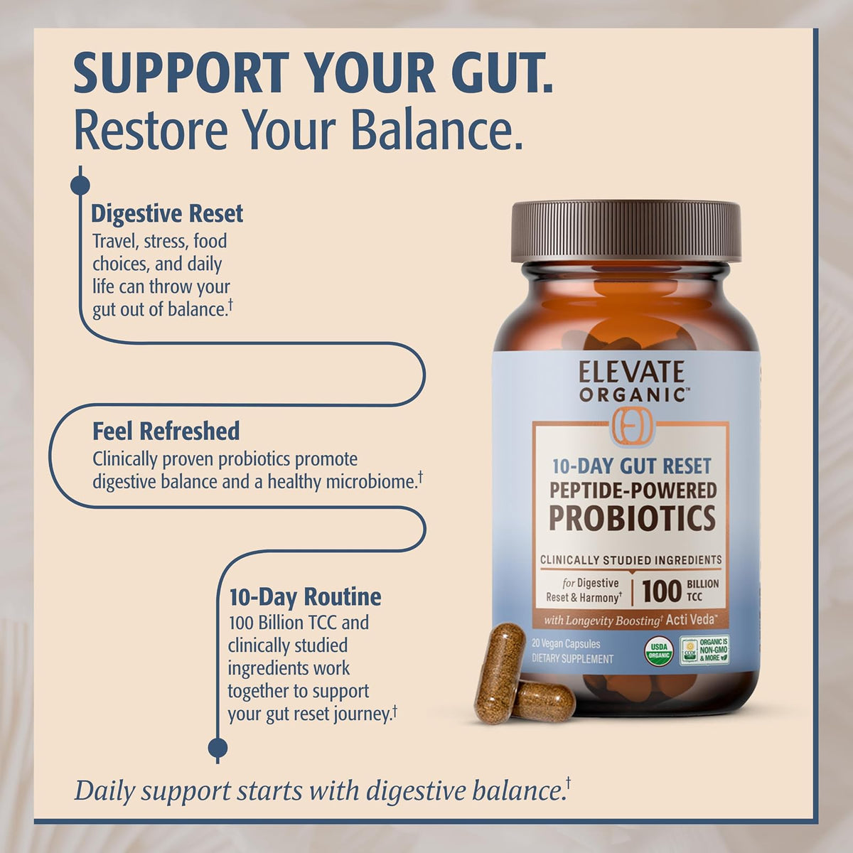 vegan capsules for digestive health
