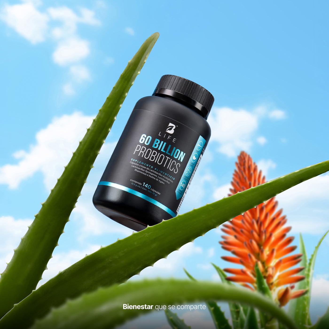 vegan capsules for holistic health
