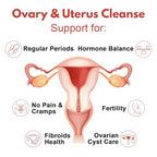 vegan capsules for hormonal balance