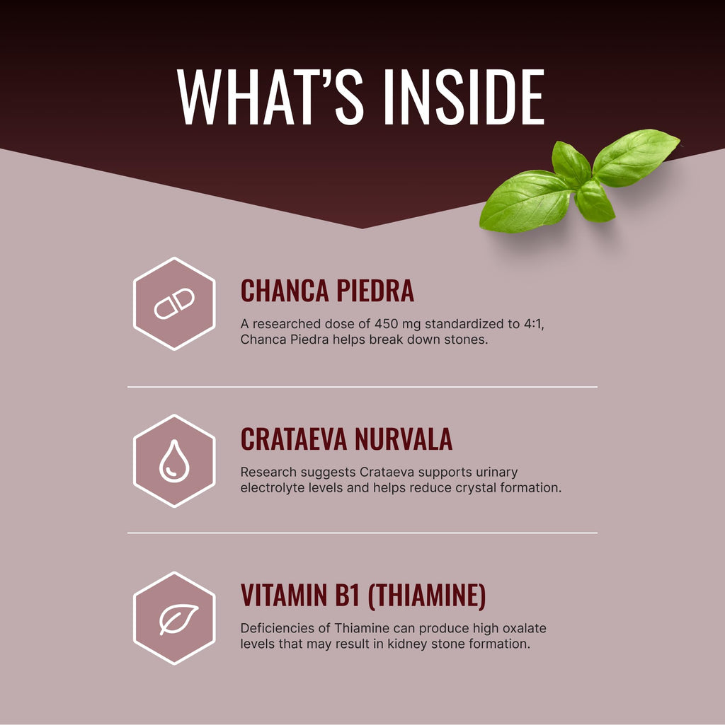 vegan capsules for kidney wellness