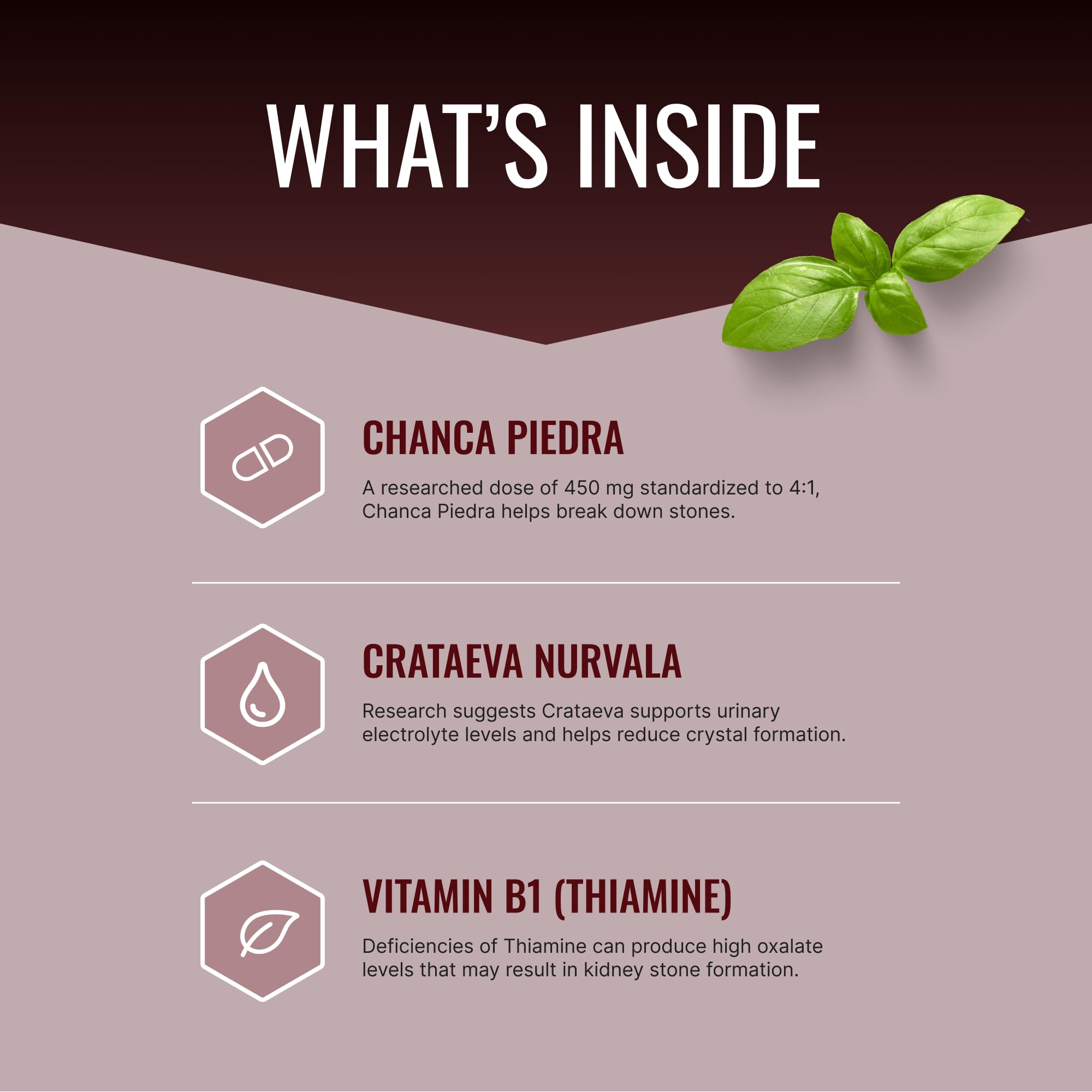 vegan capsules for kidney wellness