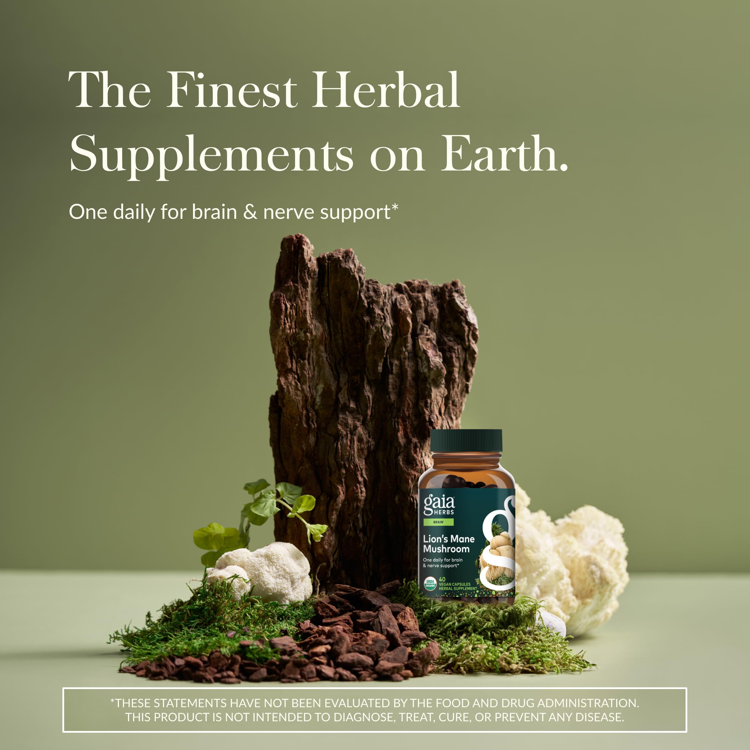 vegan capsules for mental clarity