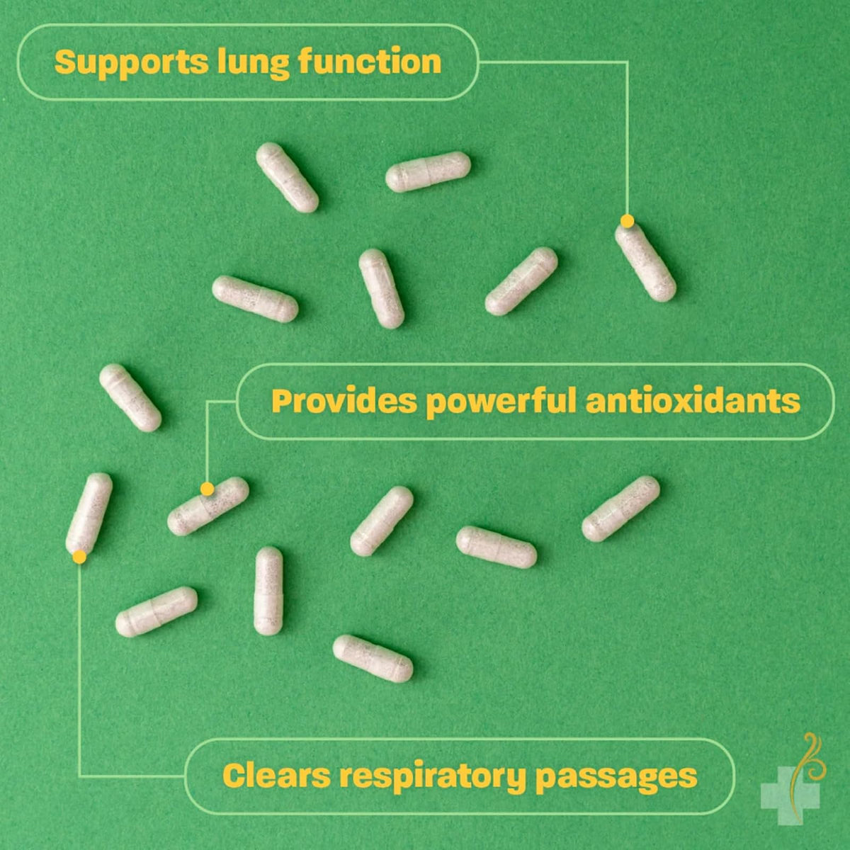vegan capsules for respiratory health
