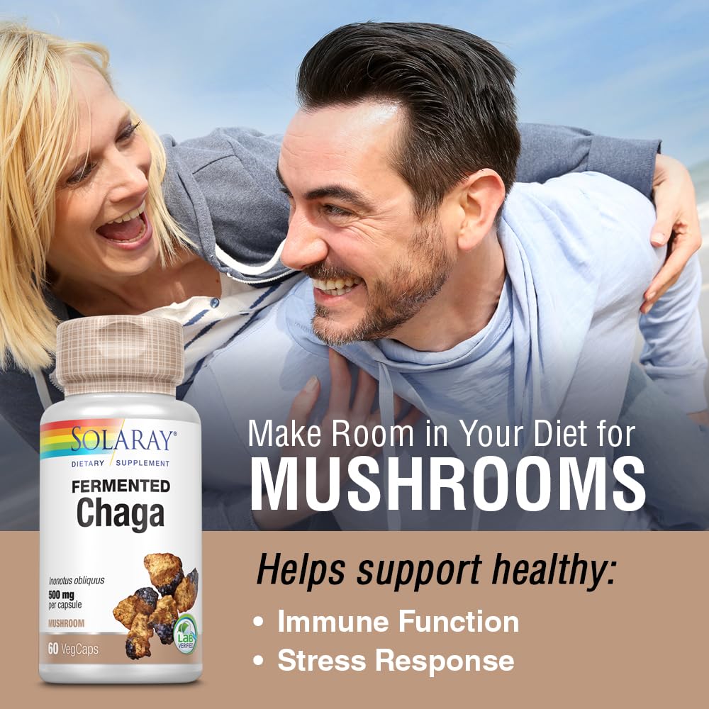 vegan chaga capsules for natural energy