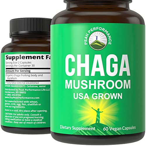 vegan chaga extract for energy boost