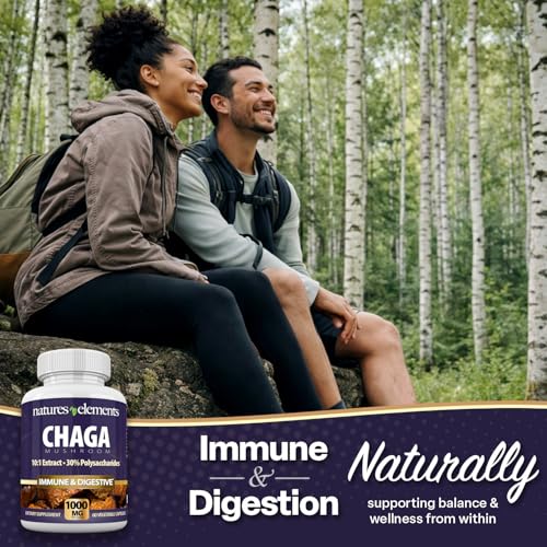 Vegan chaga mushroom extract for wellness